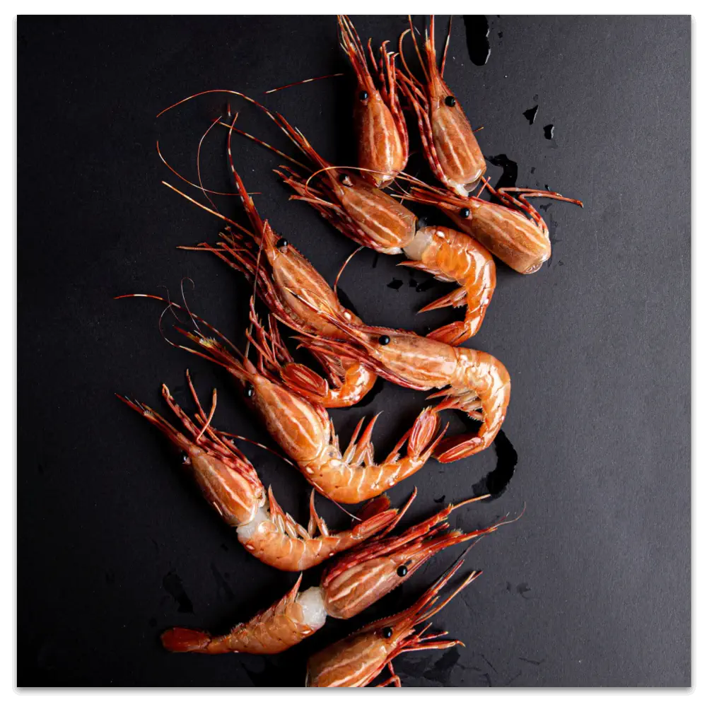 Tom Sushi - Premium Japanese Cuisine in Downtown Vancouver