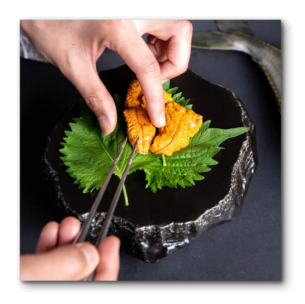 Tom Sushi - Premium Japanese Cuisine in Downtown Vancouver